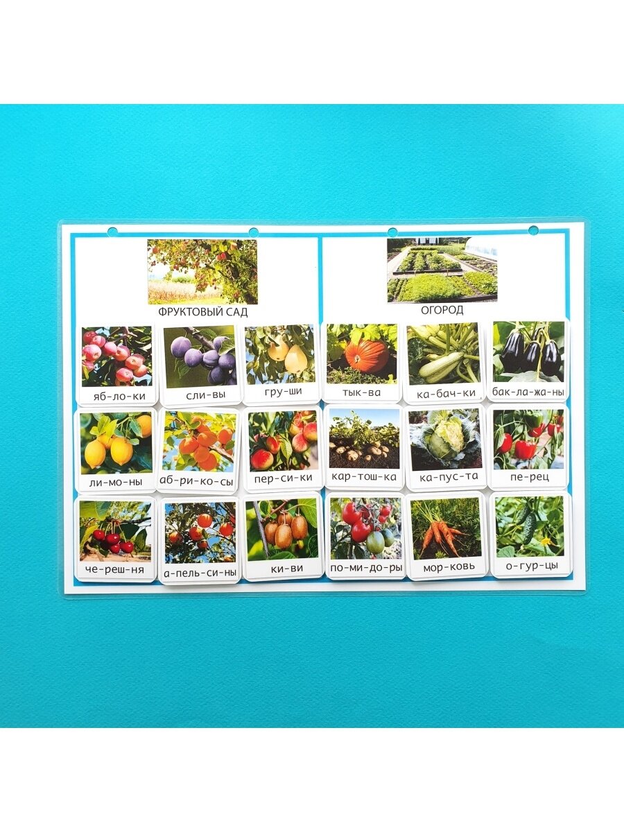 Фруктовый сад и огород. Окружающий мир (адаптивный материал). Развивающее пособие на липучках French
