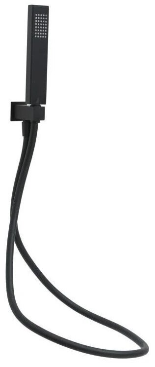 Душевой гарнитур Allen Brau Infinity 5.21021-31 1 режим, черный матовый