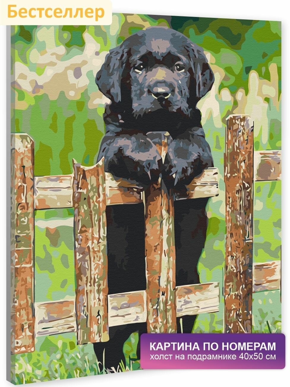 Картина по номерам на холсте с подрамником 40х50 см. Природа, животные, рыбы, птицы. Собаки, щенки. "Черный щенок лабрадора", арт. 3266/