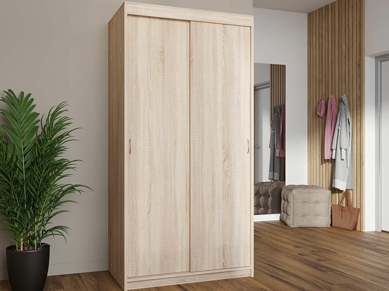Шкаф купе для одежды со штангой "Эко 2" 100х220х60 Дуб сонома