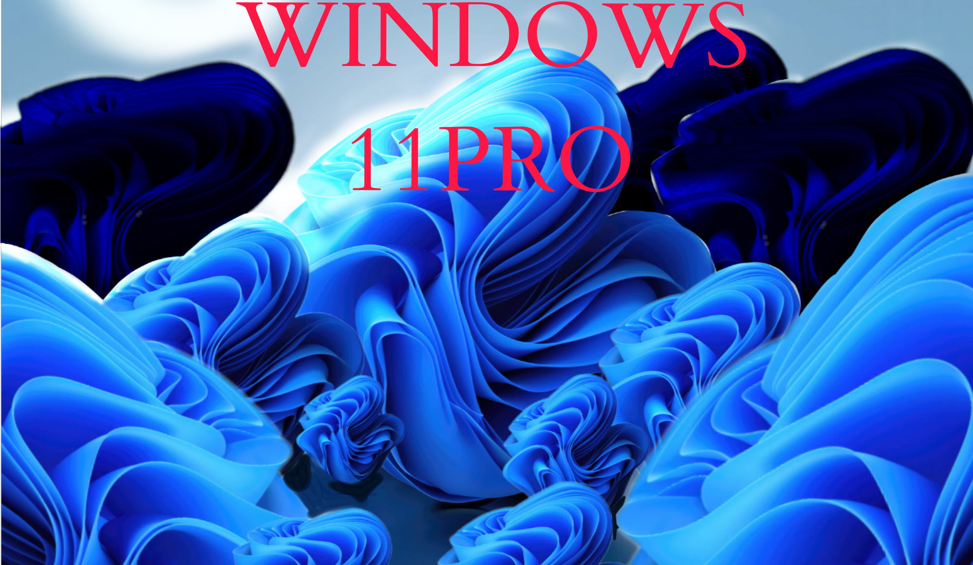Windows 11PRO