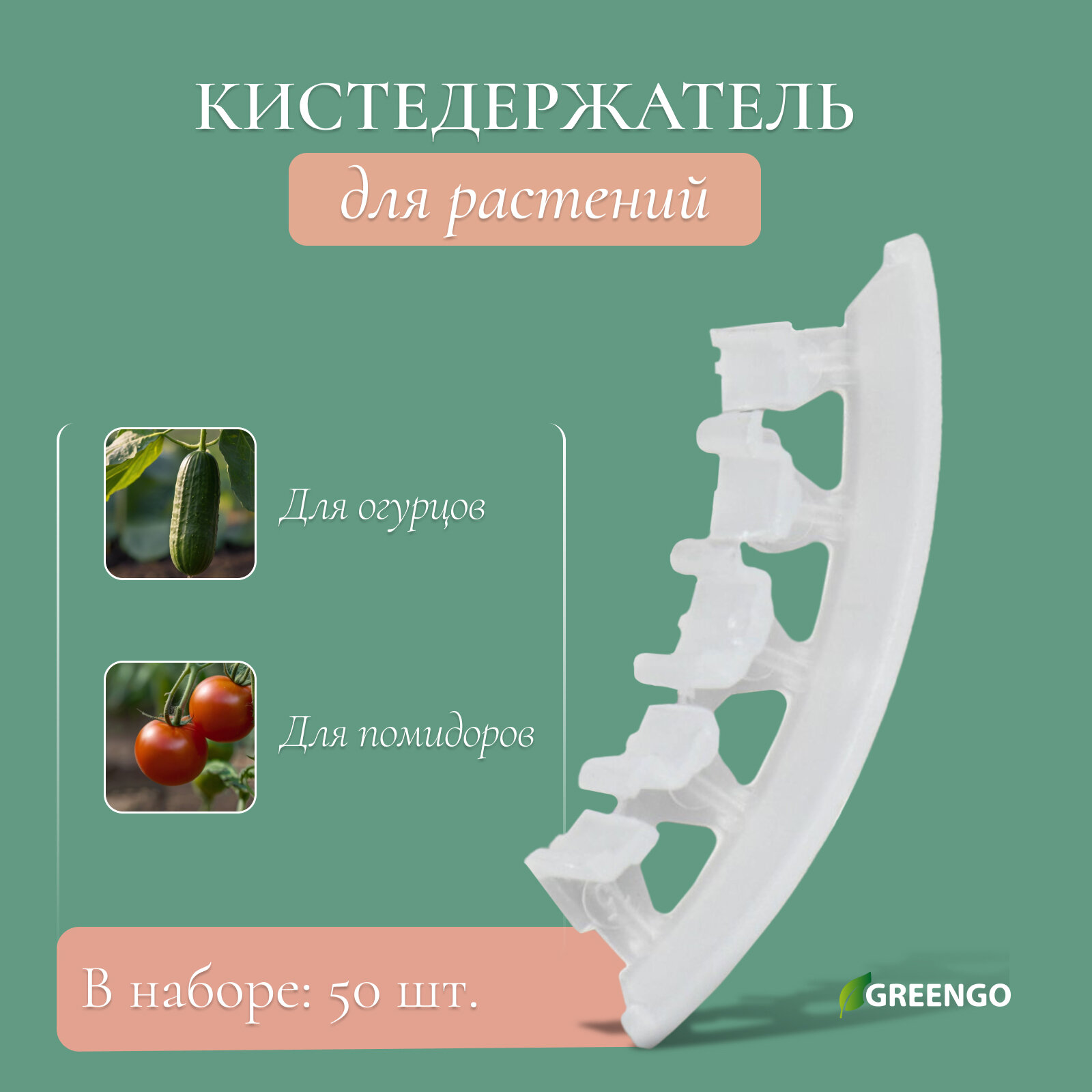 Кистедержатель «Улитка», 4 см, набор 50 шт, Greengo