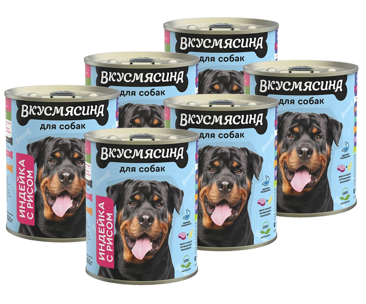 Вкусмясина для взрослых собак всех пород с индейкой и рисом банка 850 гр х 6 шт