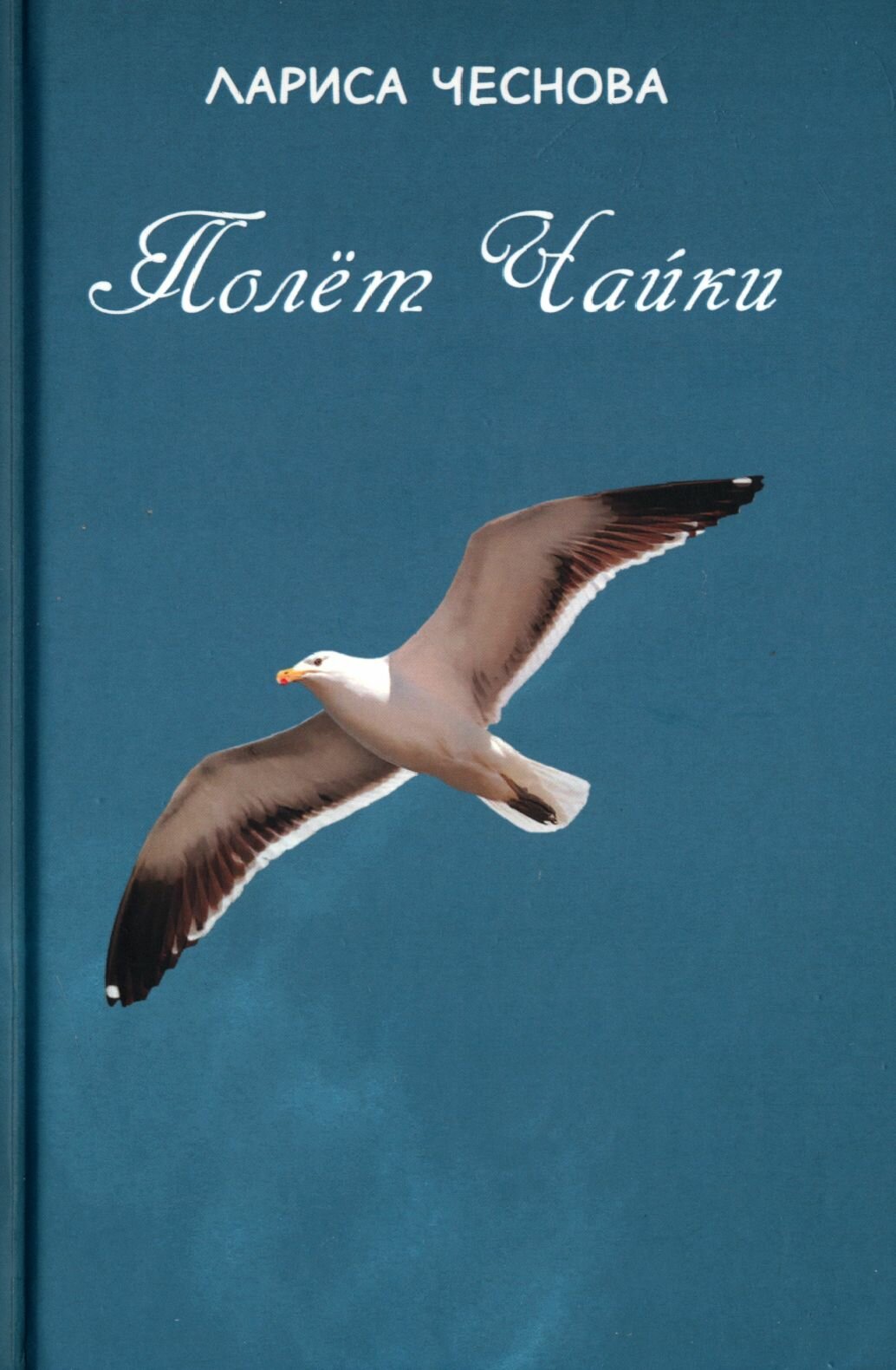 Полёт Чайки