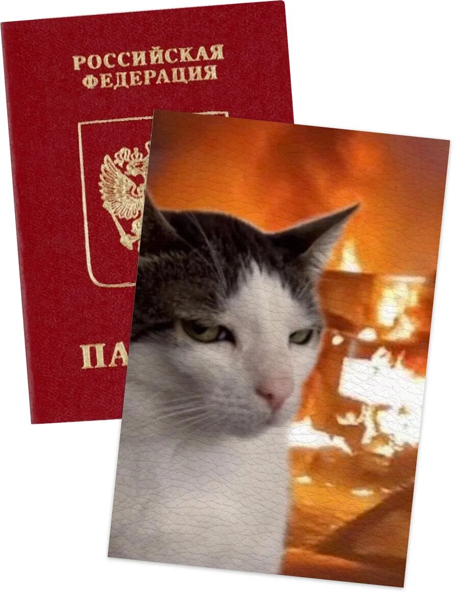 Обложка для паспорта