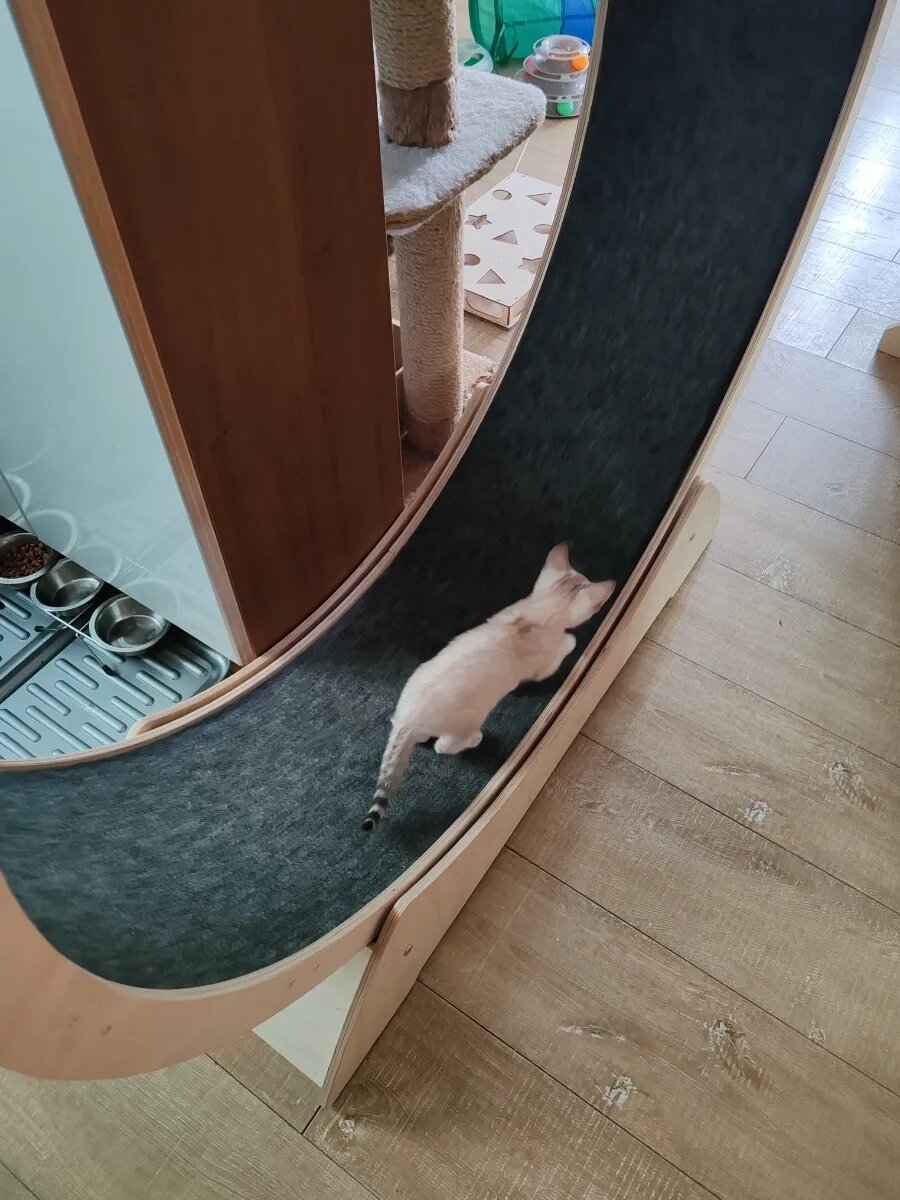 Беговое колесо для кошки Ляпота для кота, 110 см, бежевое, интерактивное, развивающее