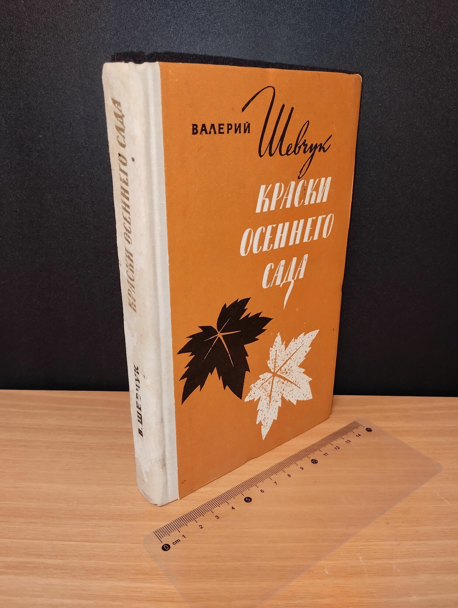 Краски осеннего сада. Валерий Шевчук. 1980