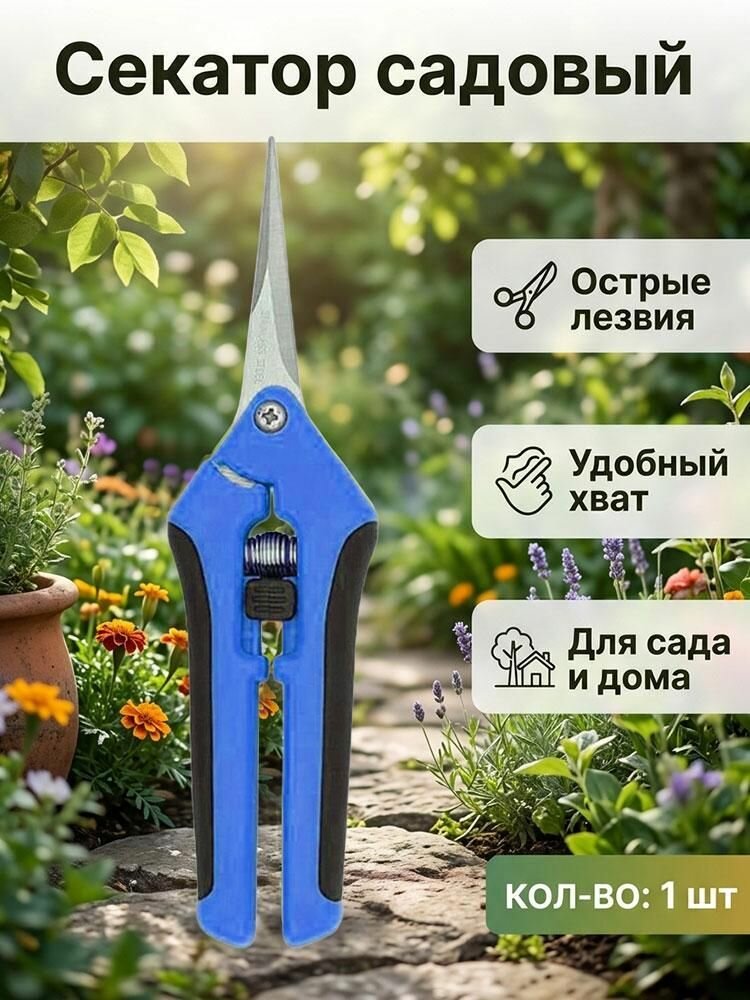 Новые заостренные ножницы для винограда из нержавеющей стали