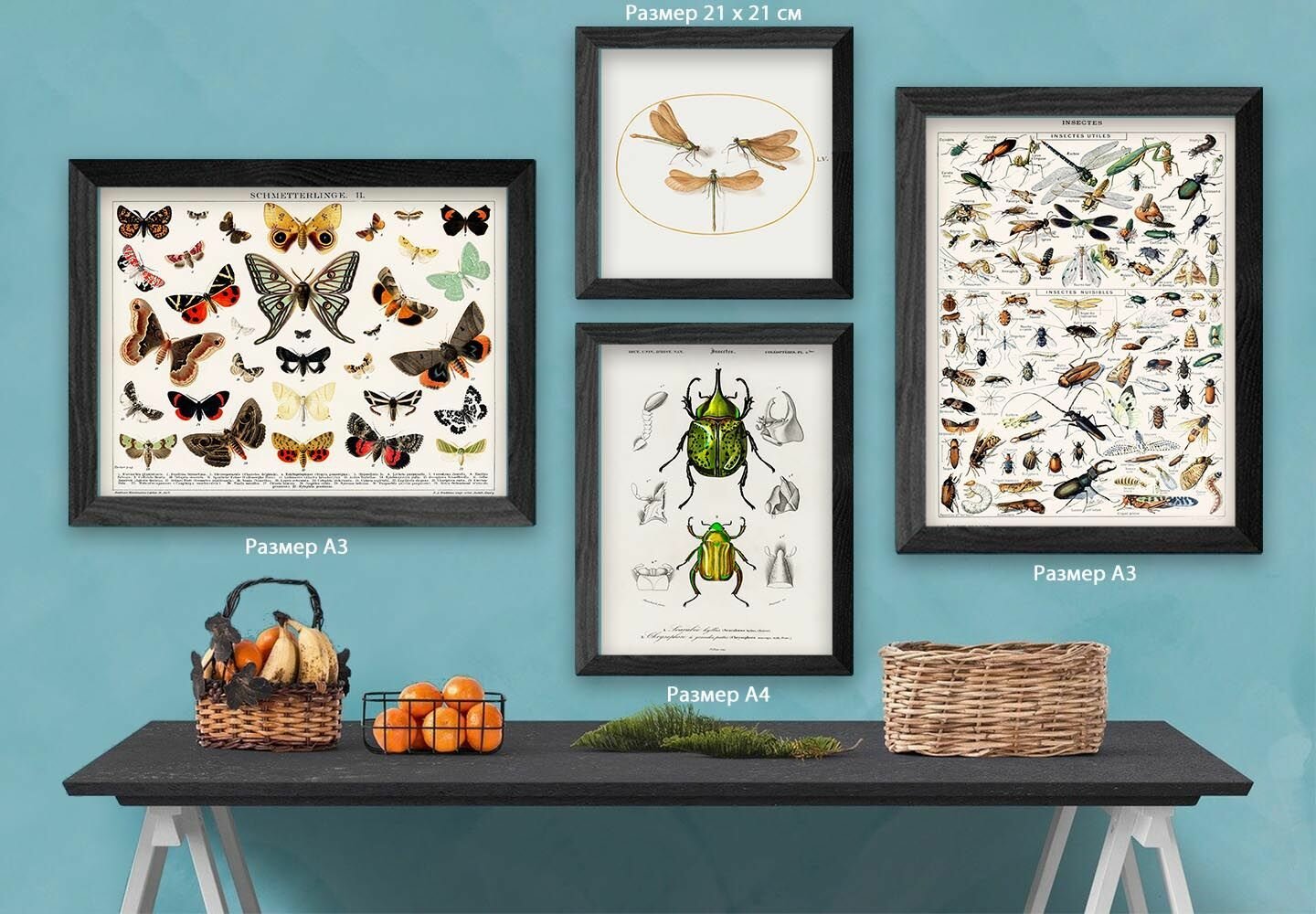 Набор 4 плакатов Насекомые Жуки и Бабочки (2 шт A3; 1 шт А4; 1 шт 21 х 21 см, без рамы)