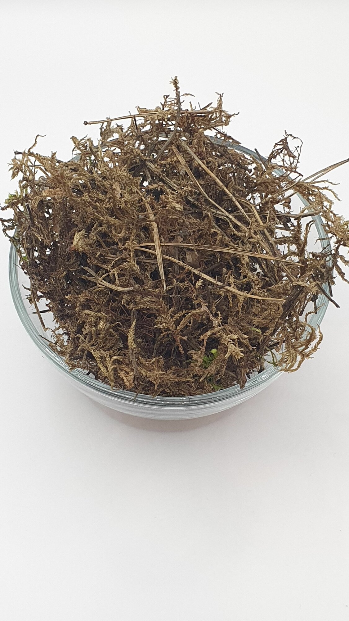 Опад хвойный со мхом 1 л, БиовегеТория