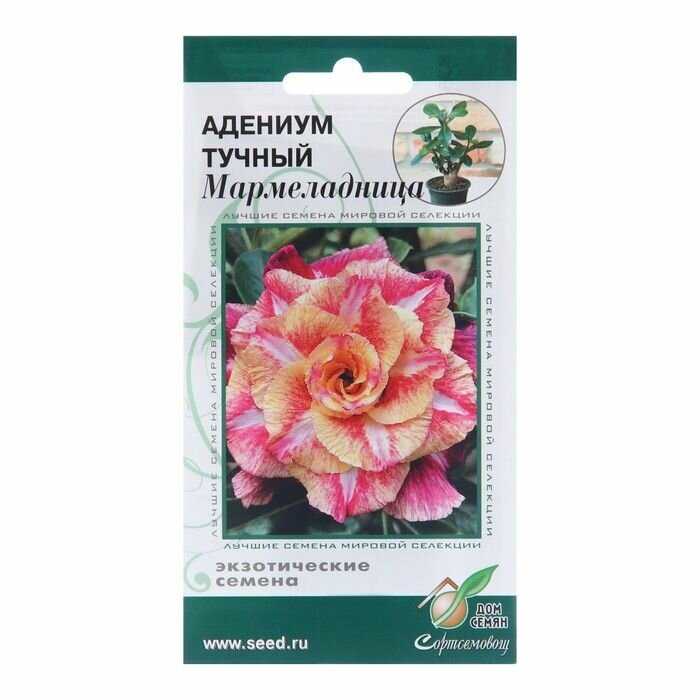 Семена цветов Адениум тучный Мармеладница , 3 шт, Дом семян