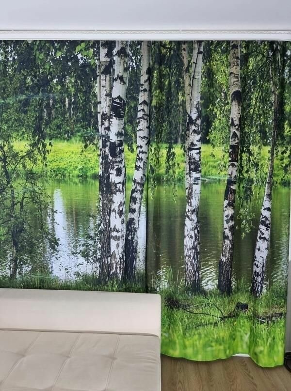 Фотошторы, для спальни и гостиной, 300x260 см, габардин, 3D эффект