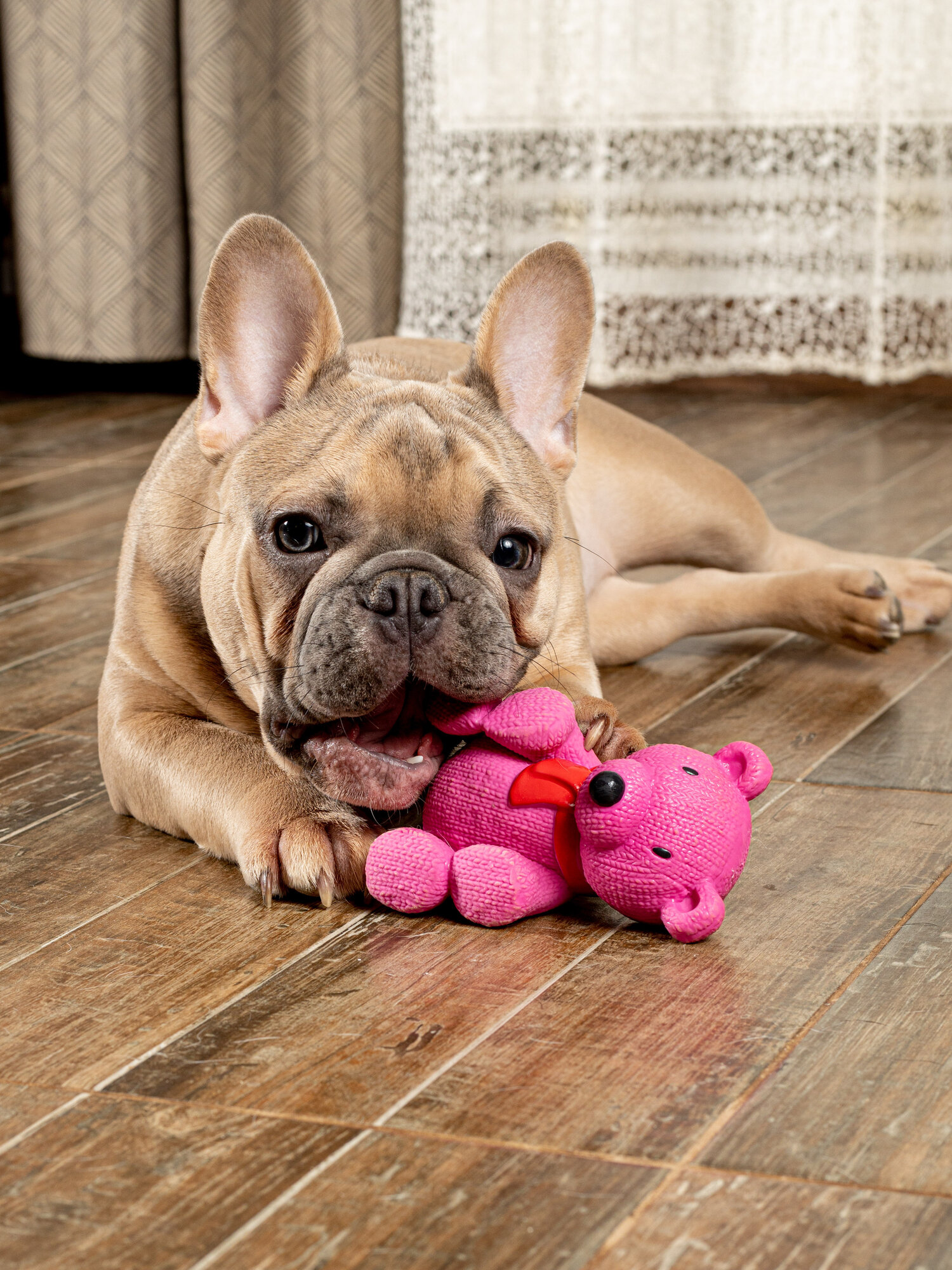 Игрушка для собак Japan Premium Pet в форме Медвежонка со сладким ароматом клубники, латексная, для мелких и средних пород