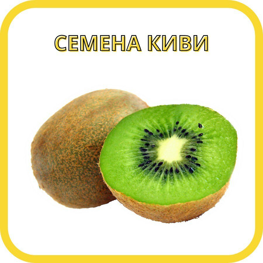 Семена киви