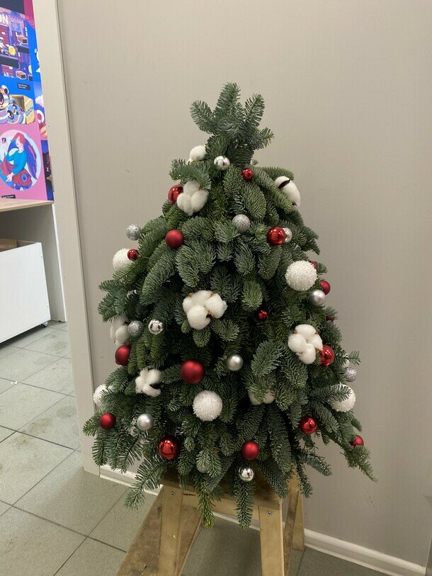 Новогодняя ёлка из нобилиса