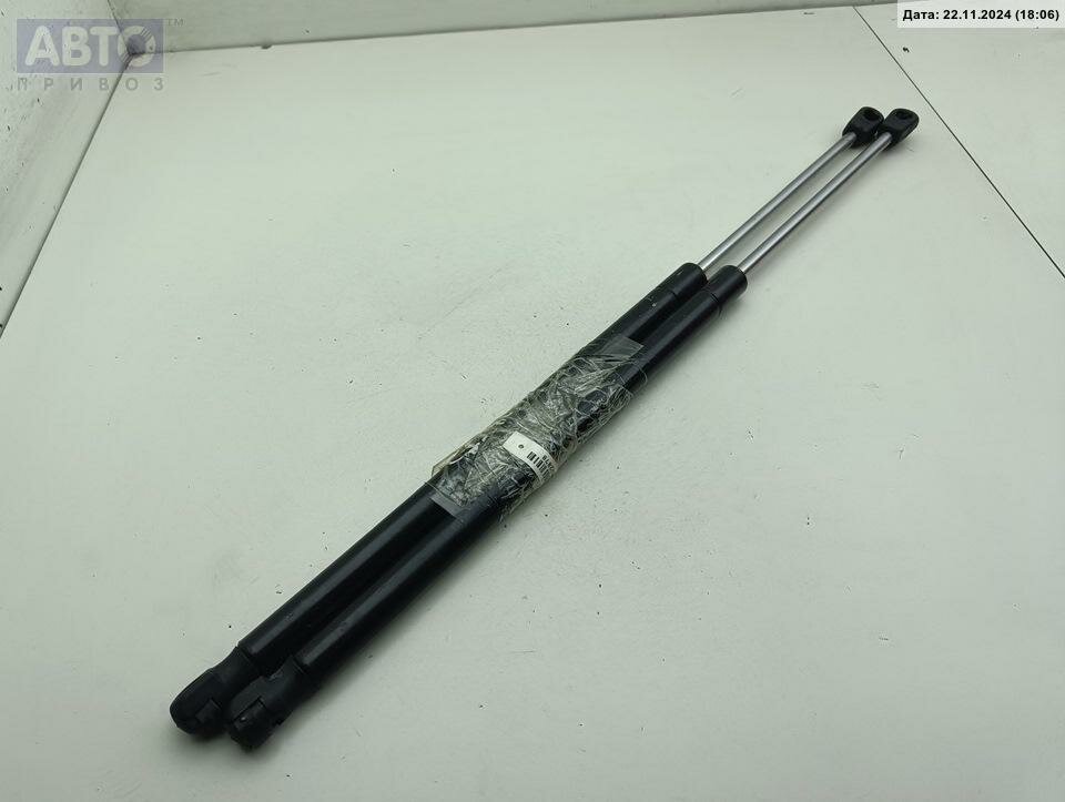 Амортизатор крышки (двери) багажника Renault Scenic 2 (2003-2009)