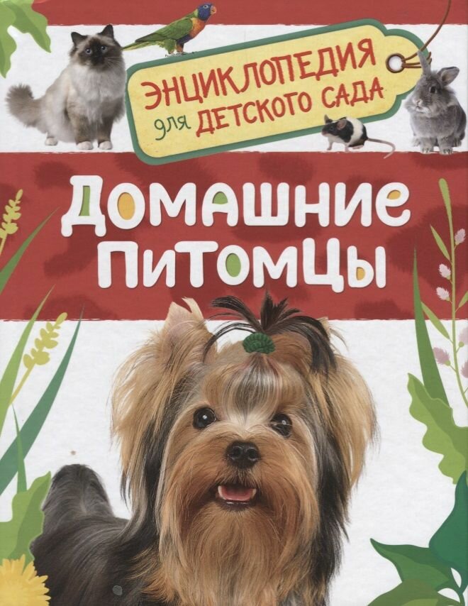 Домашние питомцы. Энциклопедия для детского сада