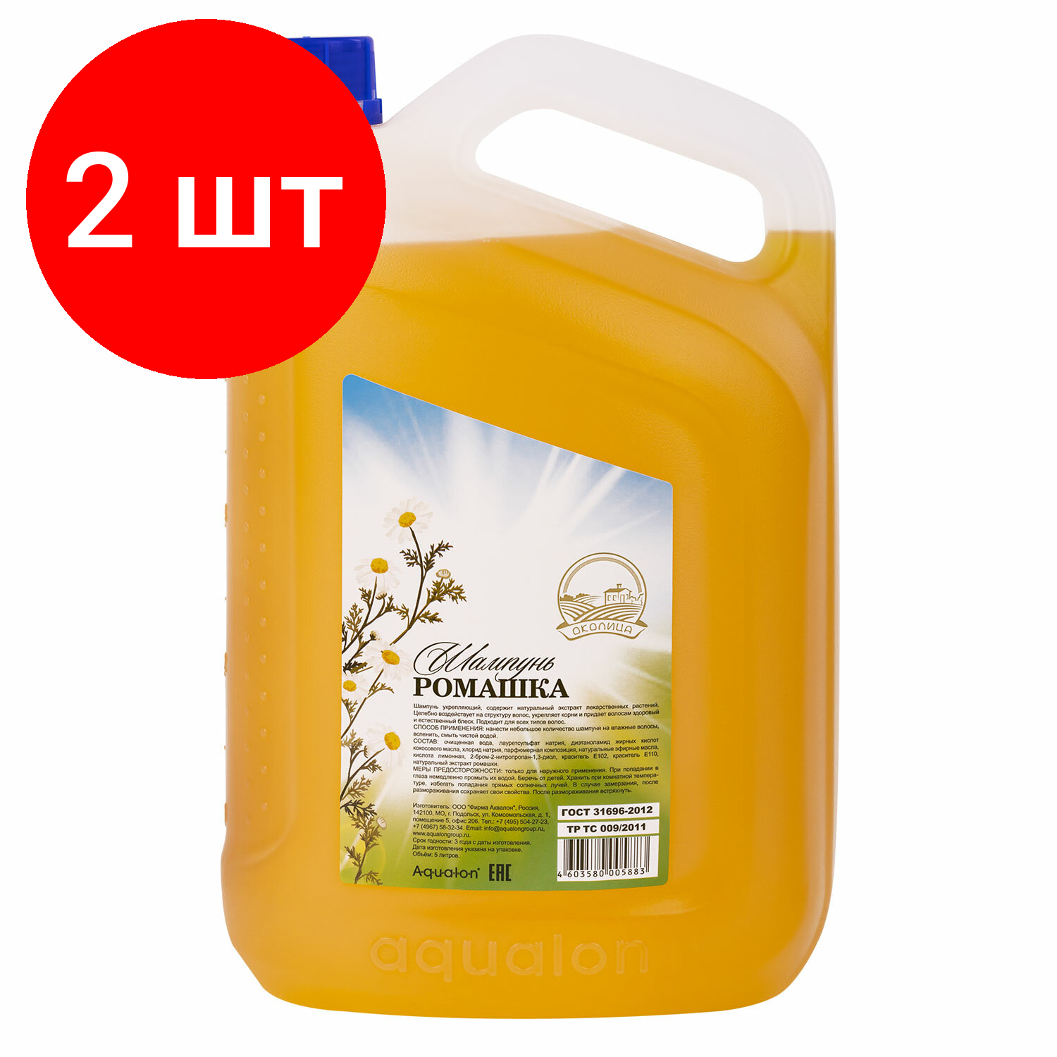 Комплект 2 шт, Шампунь для всех типов волос 5 л околица "Ромашка", на основе трав, против перхоти, 105883