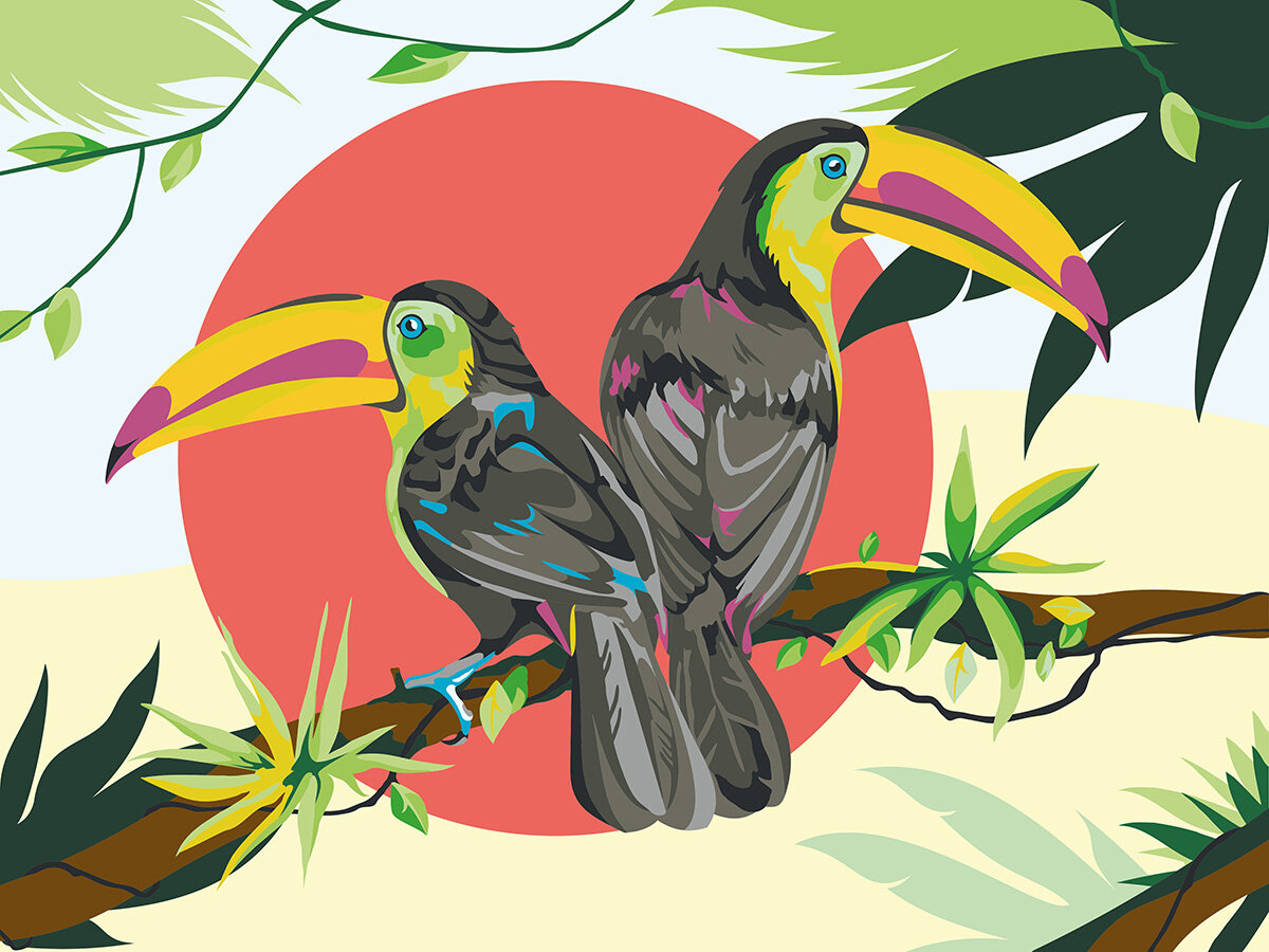 Фрея PKZ/PM-061-HK76 Набор для раскрашивания по номерам на картоне 40 х 30 см Яркие туканы