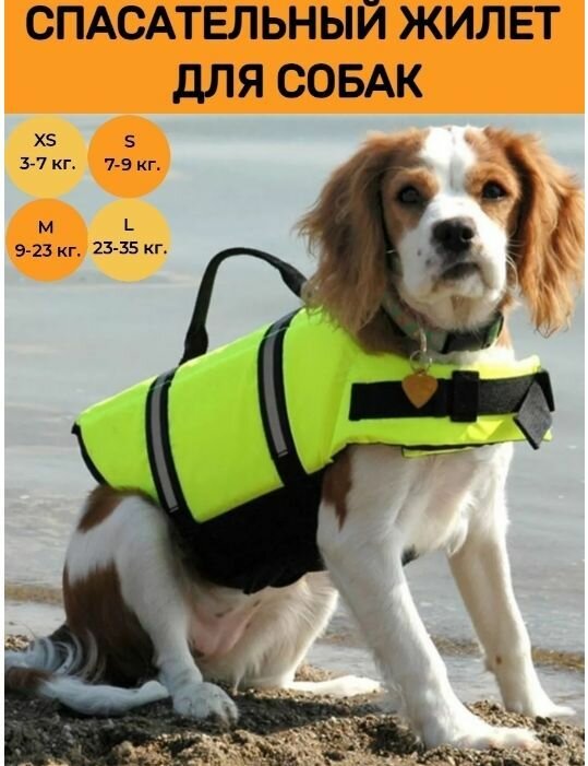 Одежда для животных