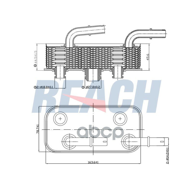 Радиатор масляный FIAT PUNTO 12-, AUDI A3 00- REACH арт. 12412029