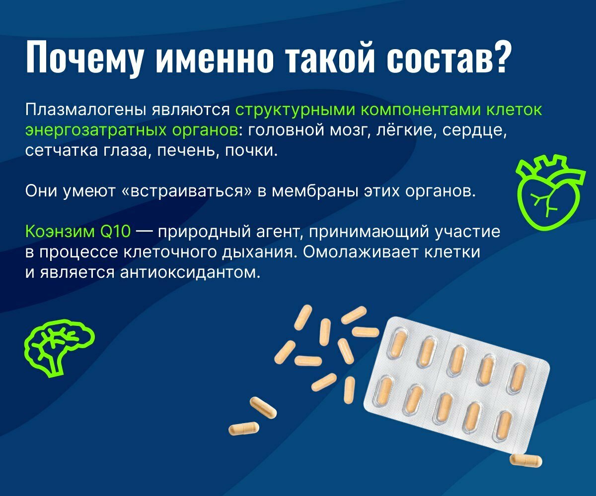 Биологически активная добавка Тамоцу для мозга и памяти, 60 капсул — фото 1
