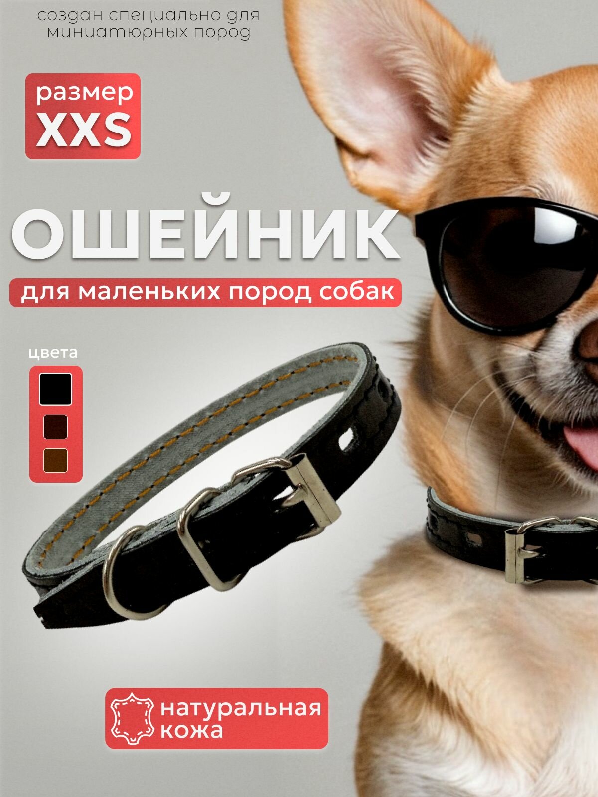 Ошейник ZebraZoo, для собак и кошек, натуральная кожа, черный, XXS, обхват шеи 17-25 см