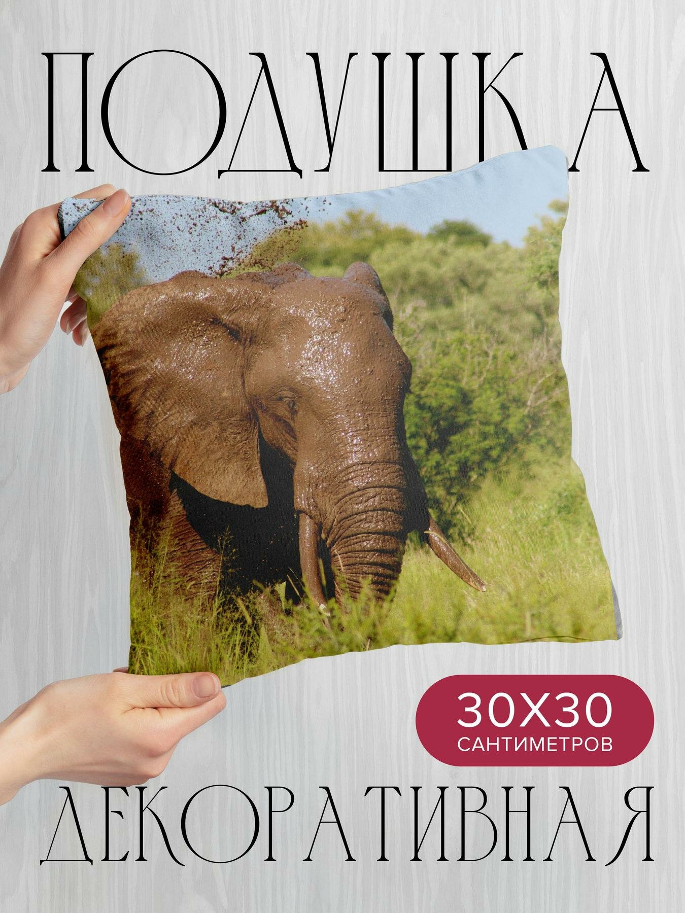 Подушка декоративная, 30x30см / Животные / слон / грязь