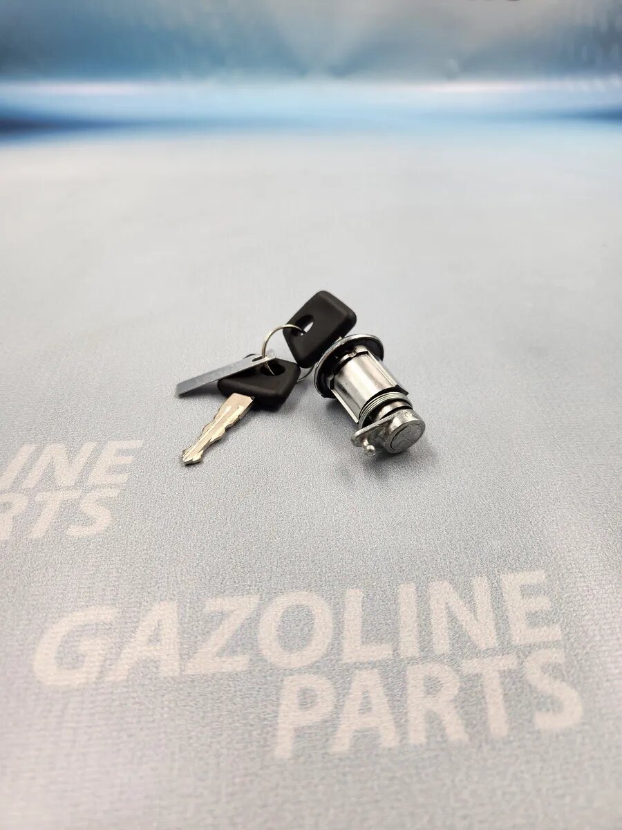 Личинка замка двери Газель Бизнес с ключом в сборе, комплект из 2 шт