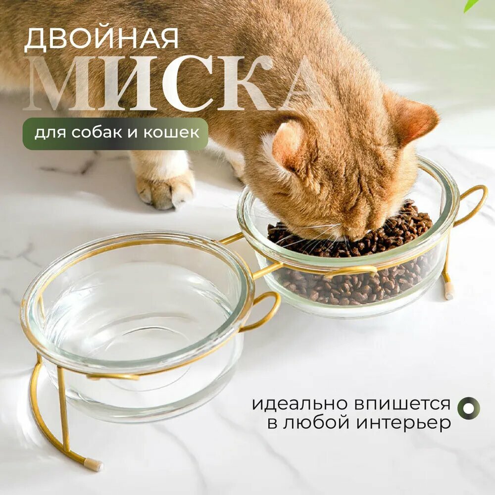 Двойная миска, для собак и кошек, стекло, металл, с подставкой