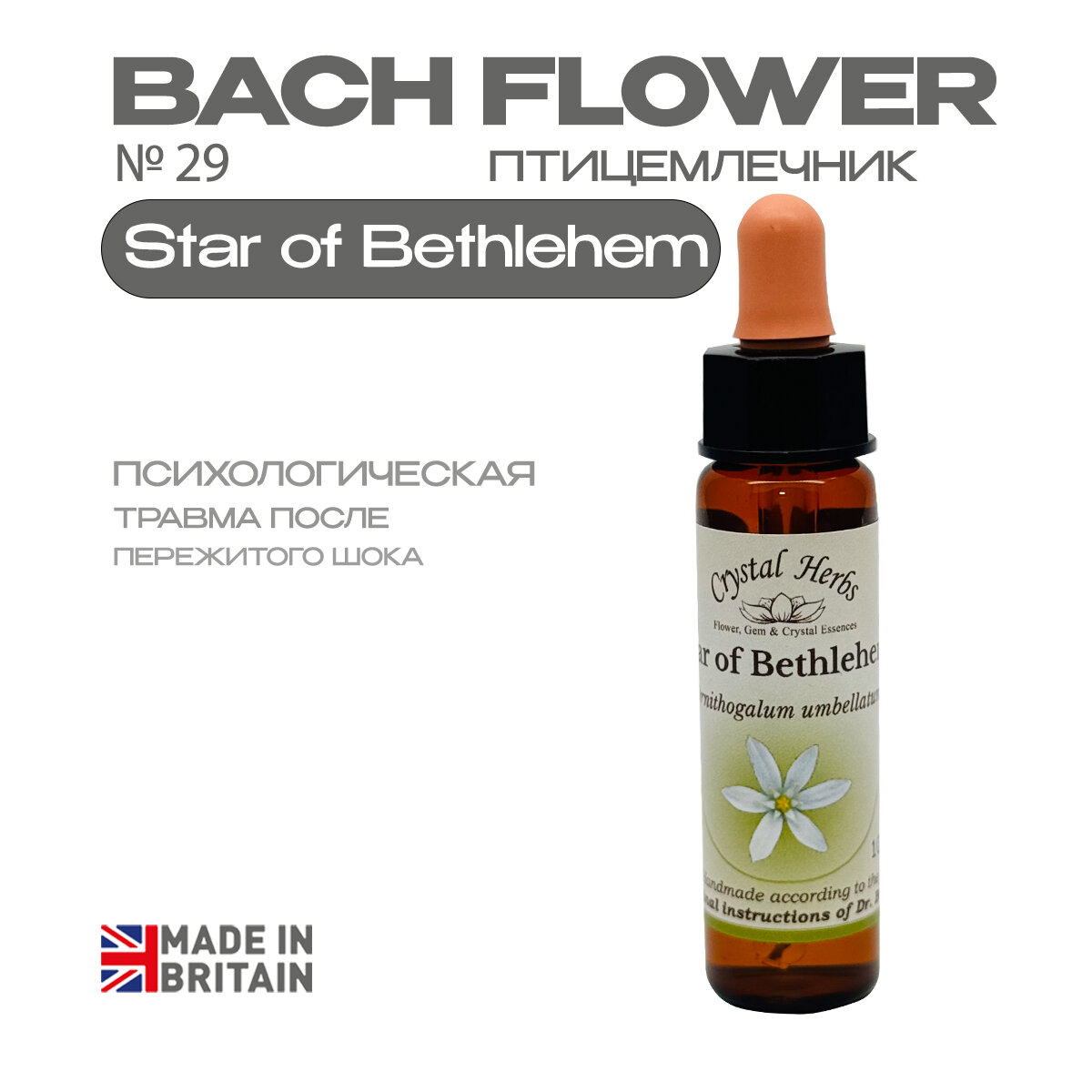 Star of Веthlehem (Птицемлечник) Стар оф Вифлеем. Цветы Баха, эссенция №29 - капли 10 мл. Англия