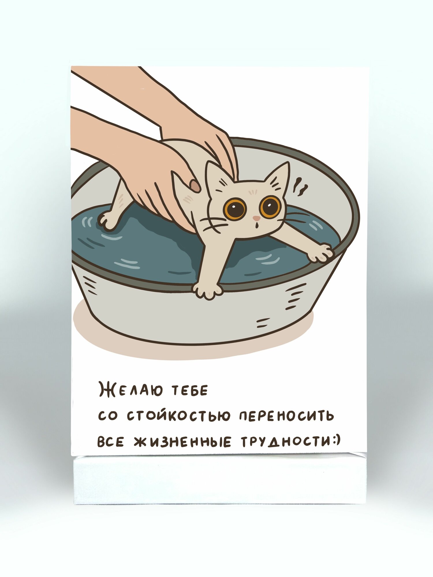 Открытка с котиком