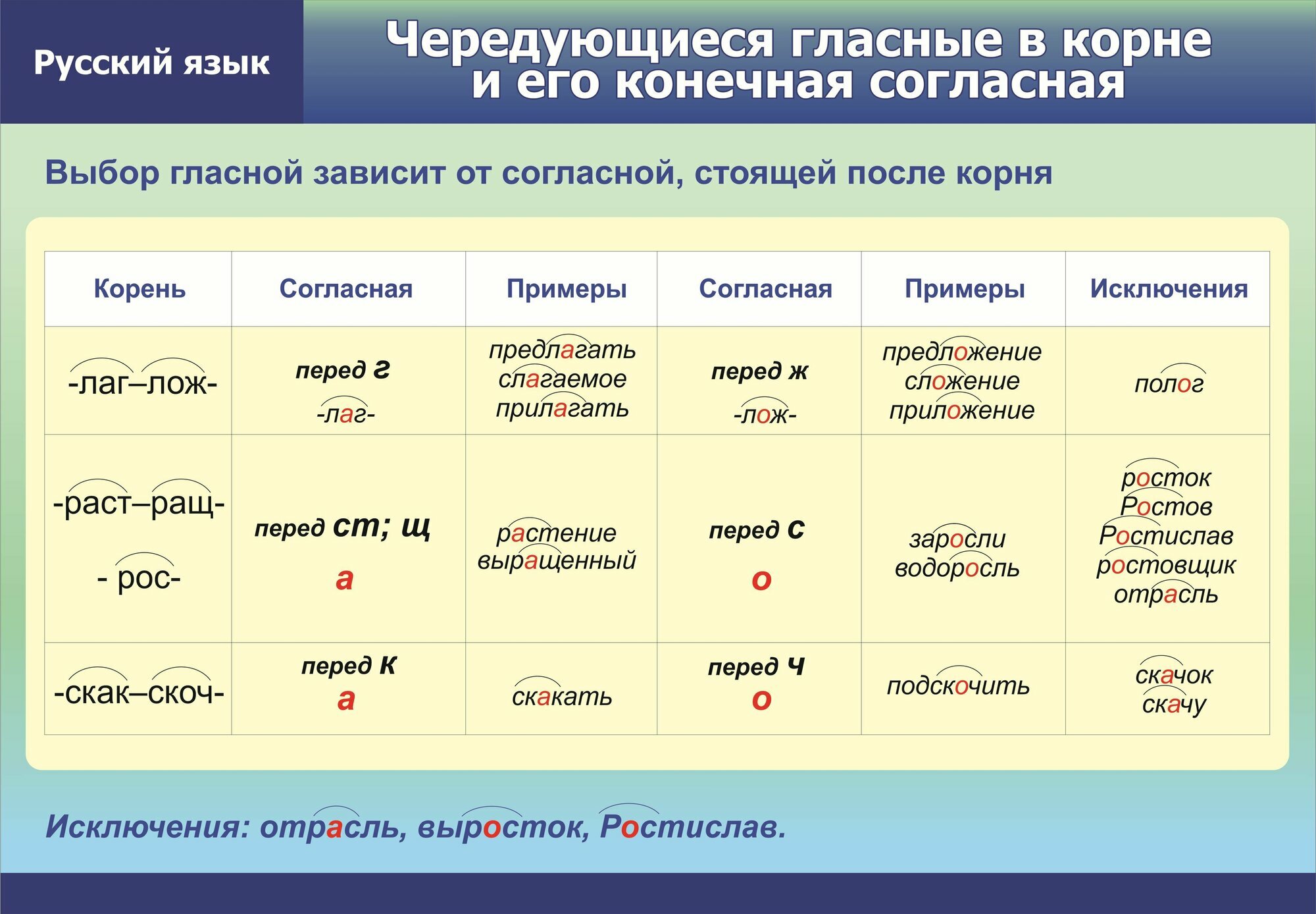 Таблицы демонстрационные "Русский язык 5 кл."