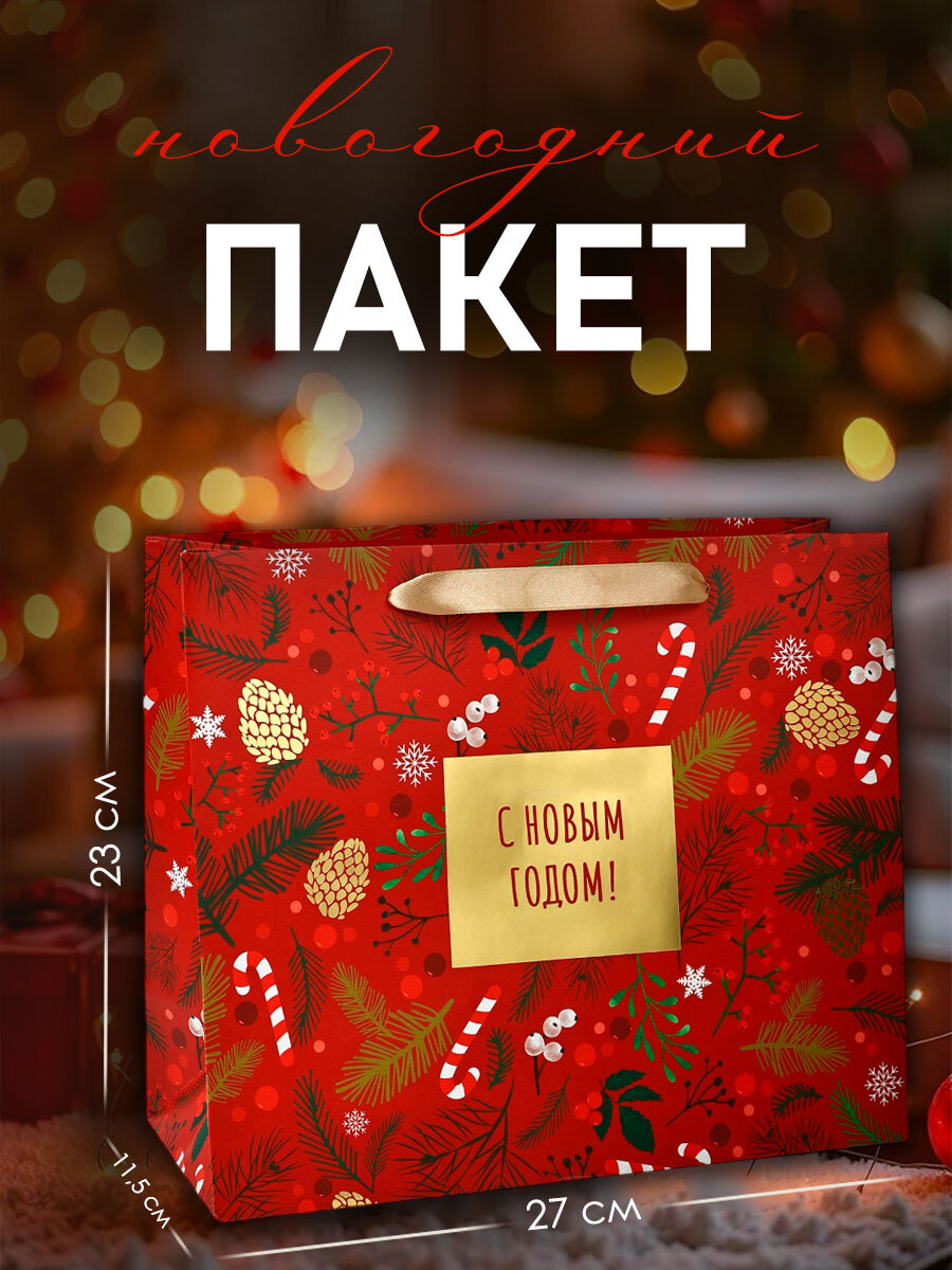 Подарочный пакет, «Время волшебства», ML 27 × 23 × 11,5 см, ламинированный, красный, для упаковки подарка на Новый Год