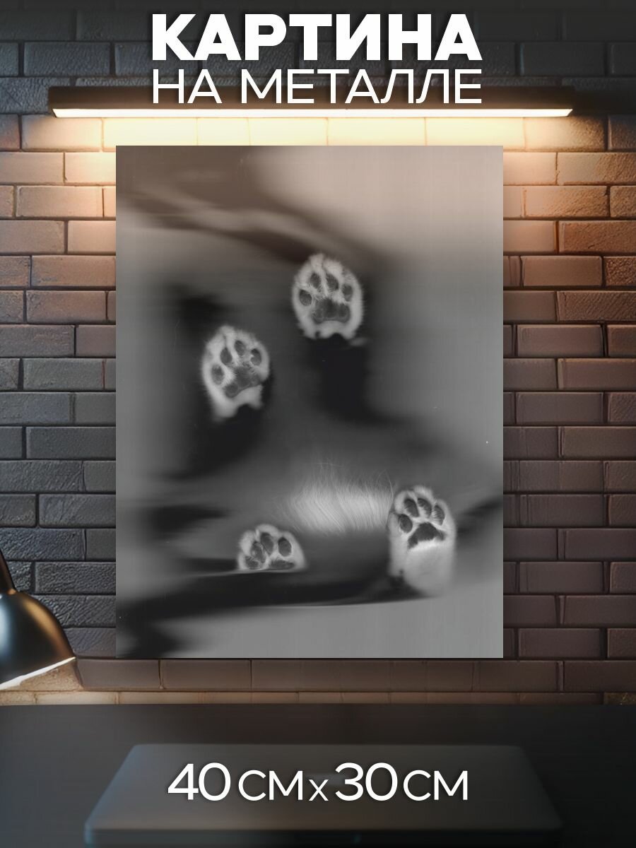 Картина на стену Cat Paws - Лапки кота