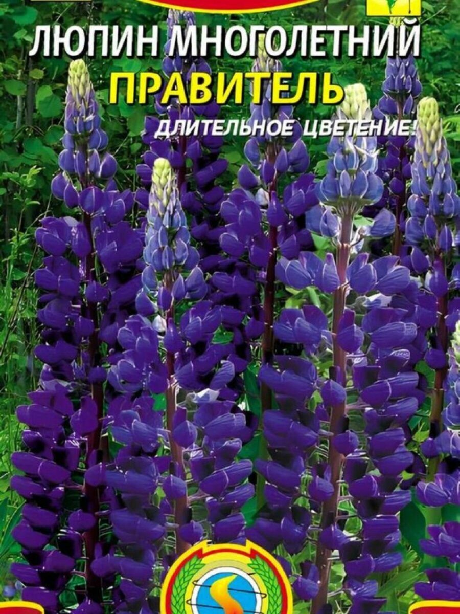 Люпин Правитель многолетний 0,45 г, Плазменные семена
