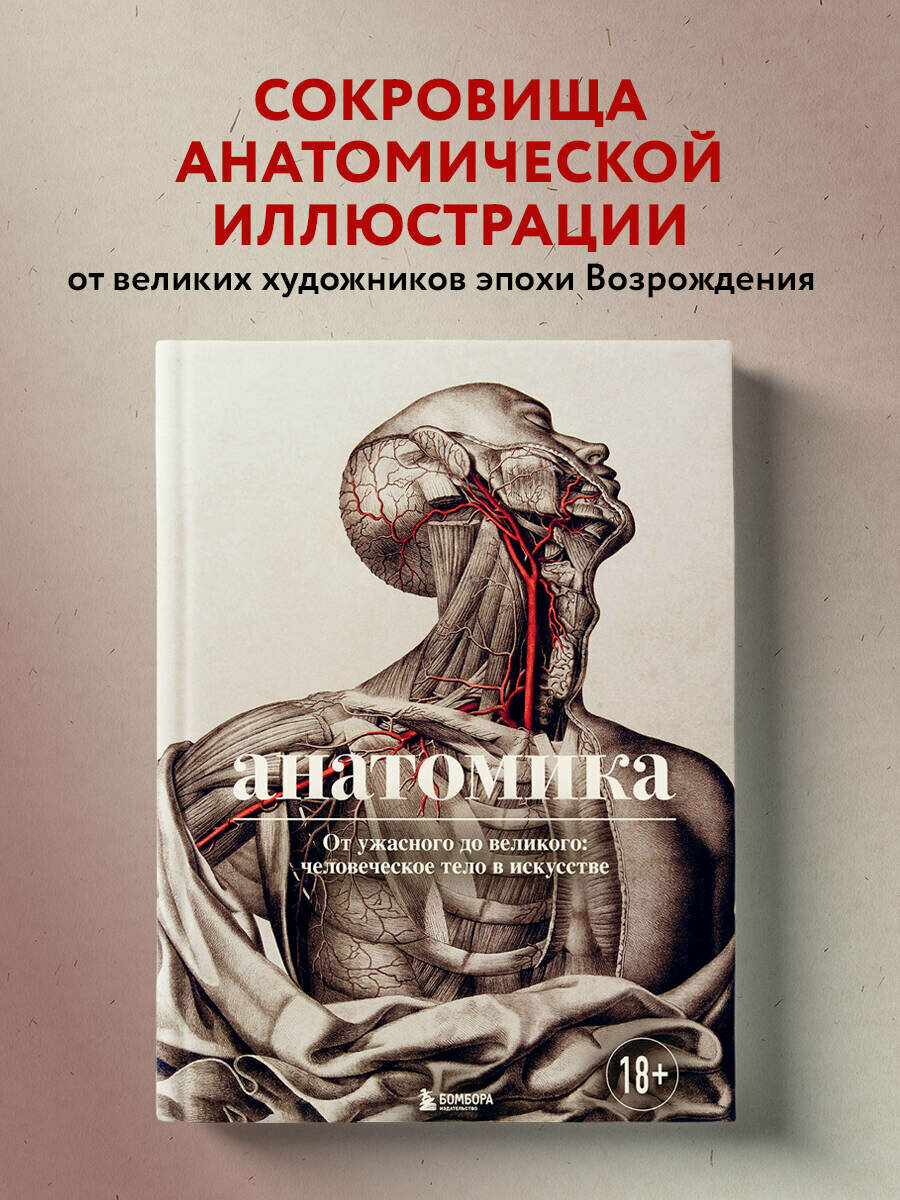 Эбенштейн Д. Анатомика. От ужасного до великого: человеческое тело в искусстве