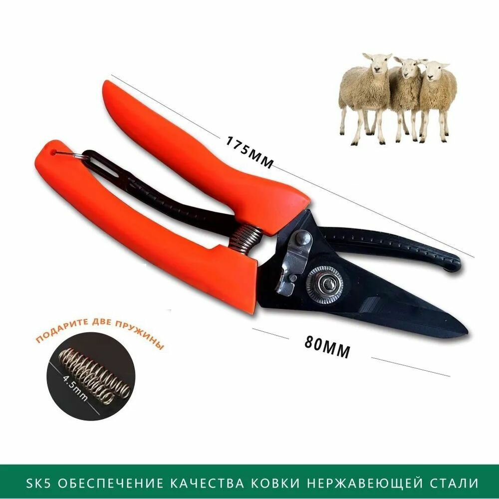 Ножницы для обрезки копыт коз овец / инструмент, секатор, кусачки копытные для стрижки сельхоз животных