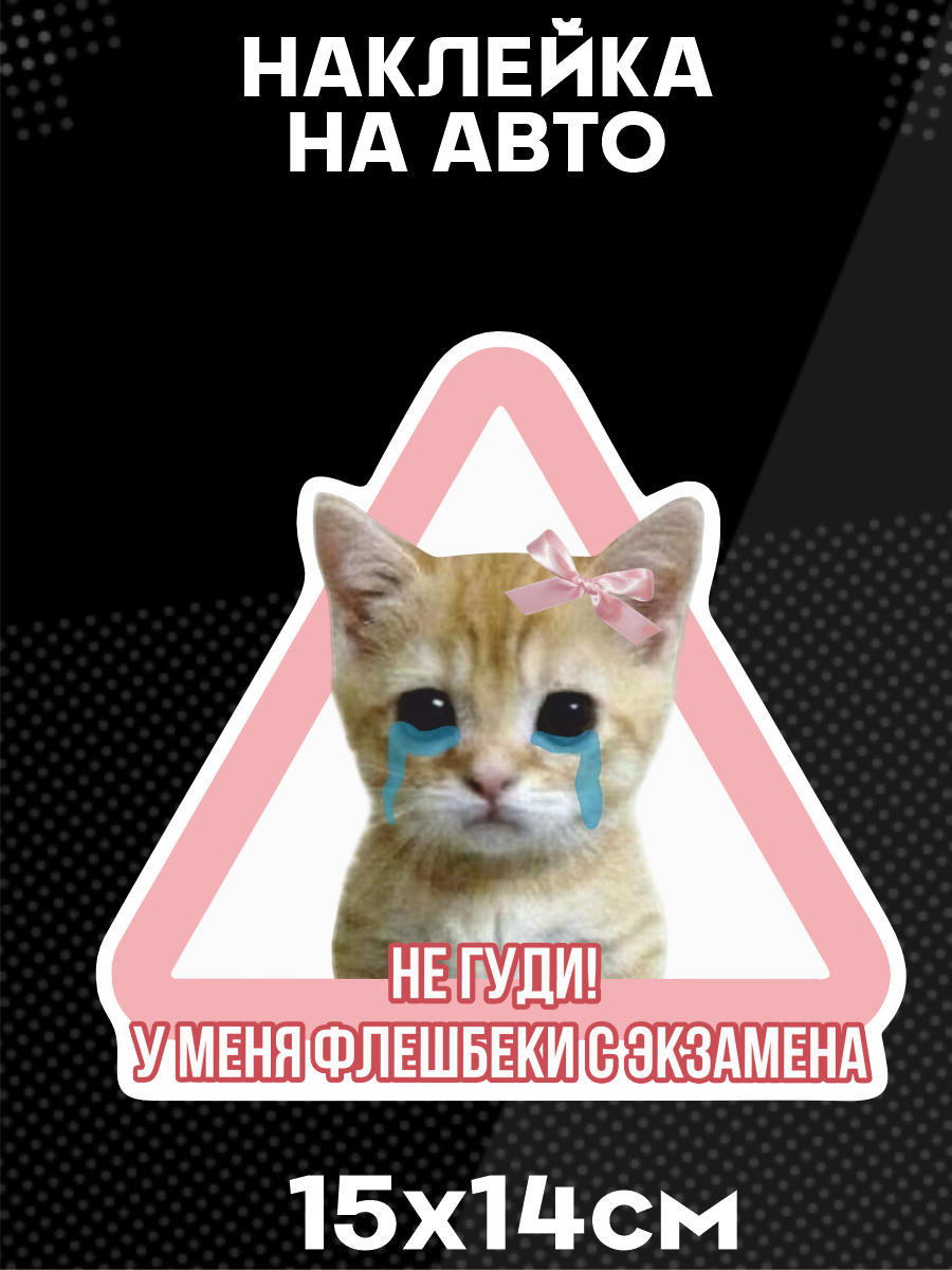 Наклейка на авто Кот новичок наклейка