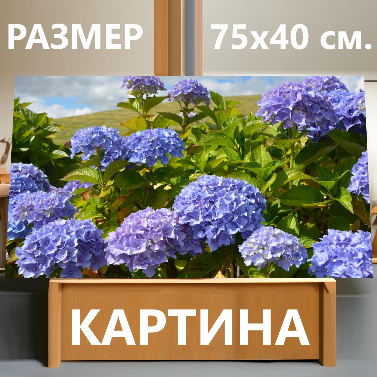 Картина на холсте "Гортензии, синий, фиолетовый" на подрамнике 75х40 см. для интерьера