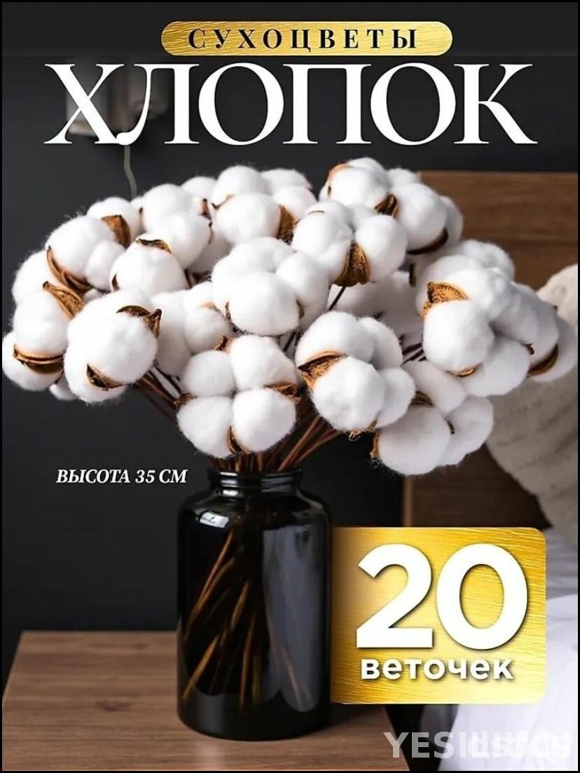 Сухоцветы Хлопок, 35 см, 20 шт