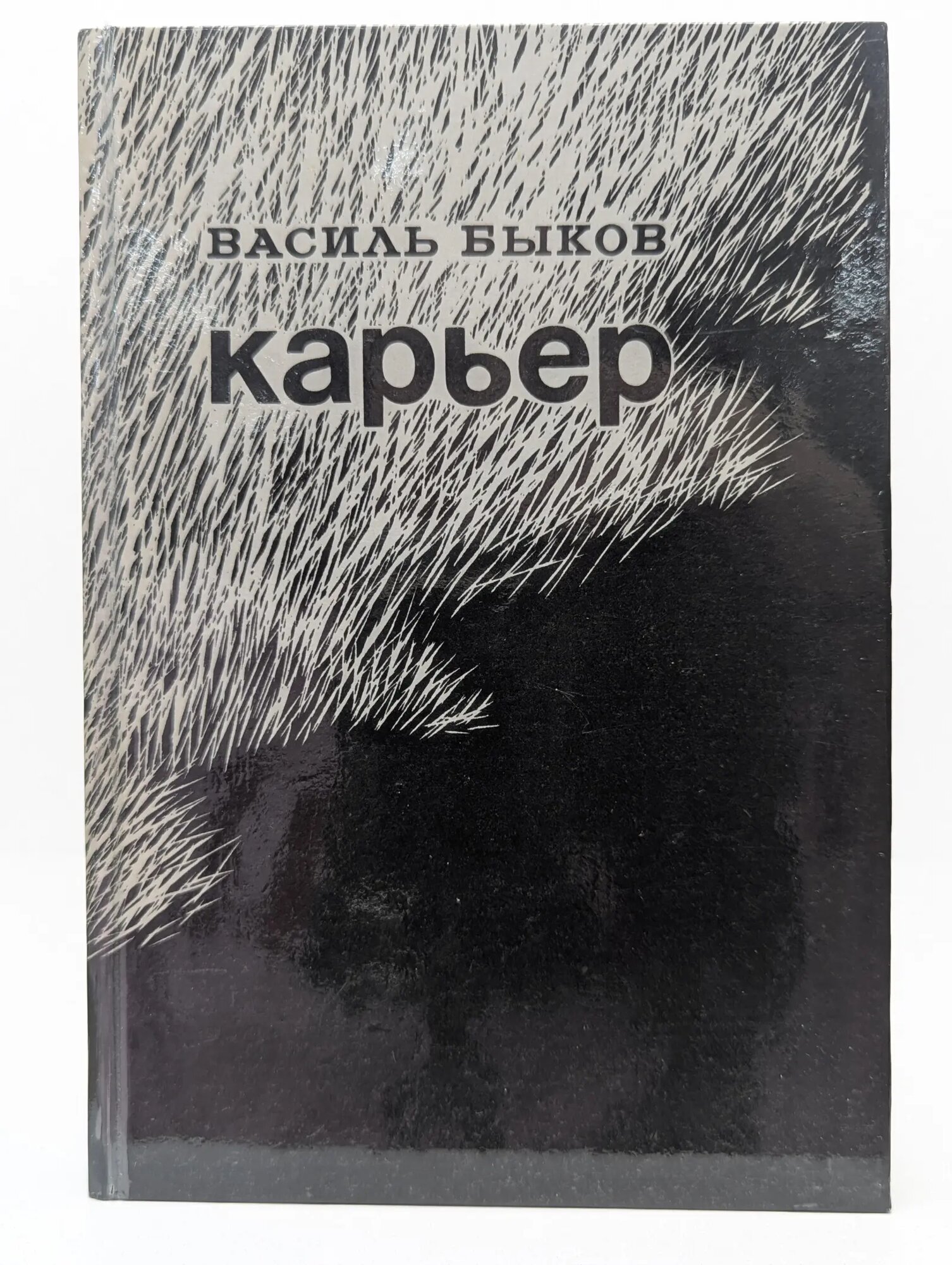 Карьер Быков Василь Владимирович 1988
