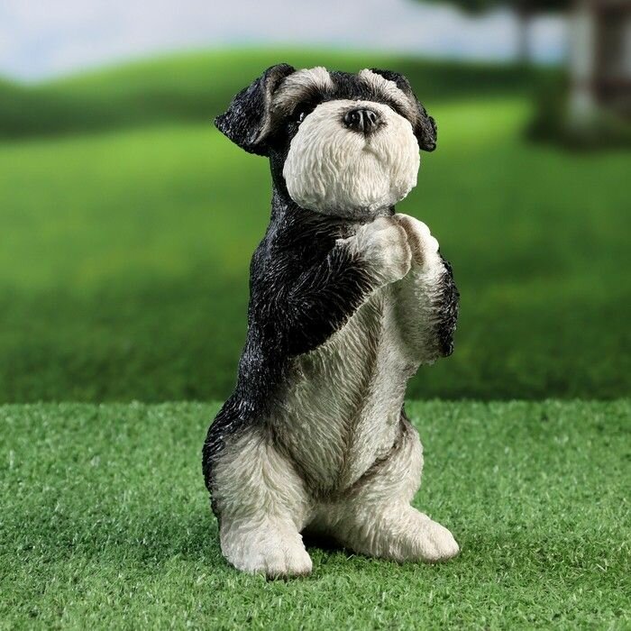 Декоративная фигурка Take it easy "Попрошайка Шнауцер", полистоун, 9х10х21 см