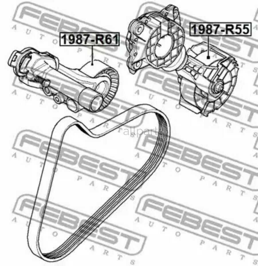 FEBEST 1987-R61 Ролик натяжной