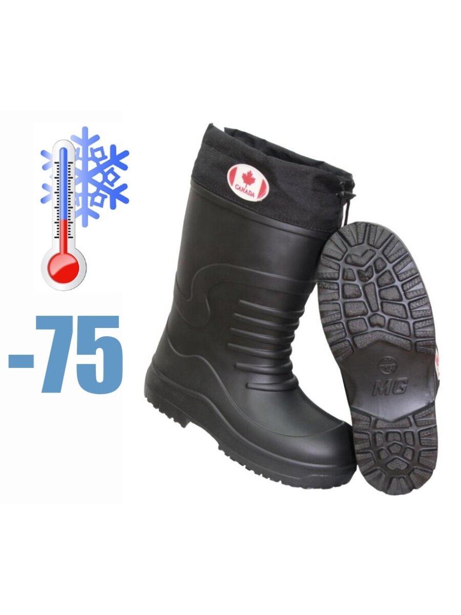 Сапоги Базовая коллекция