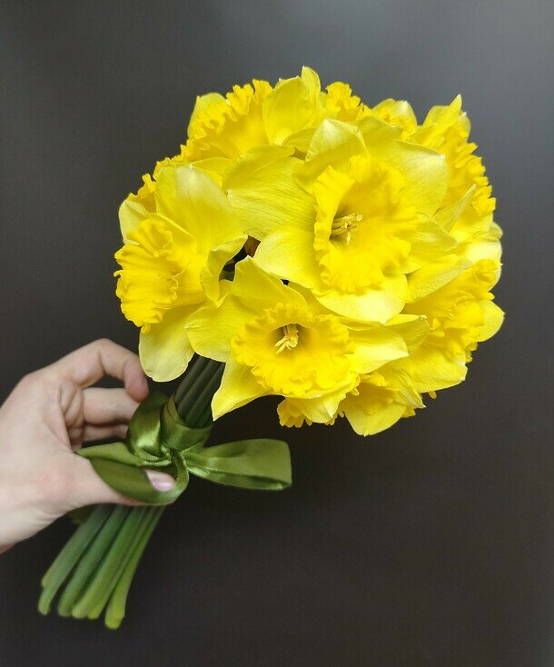 19 нарциссов под ленту
