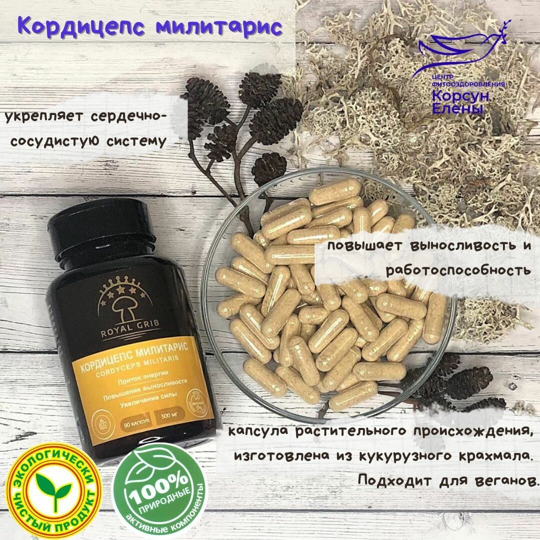 Кордицепс милитарис капсулы/ 90 капсул, 500 мг
