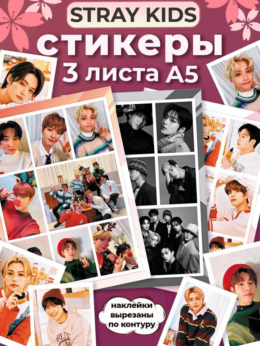 Набор к-поп наклеек Stray kids