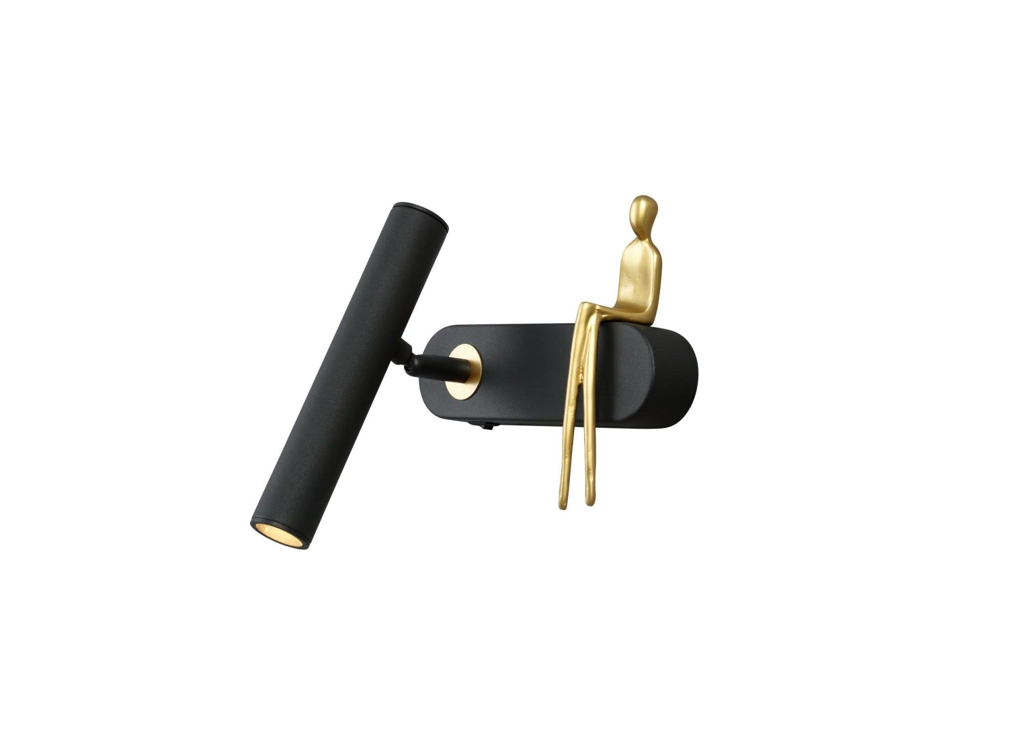 Настенный светильник Arte Lamp Albert A2173AP-1BK