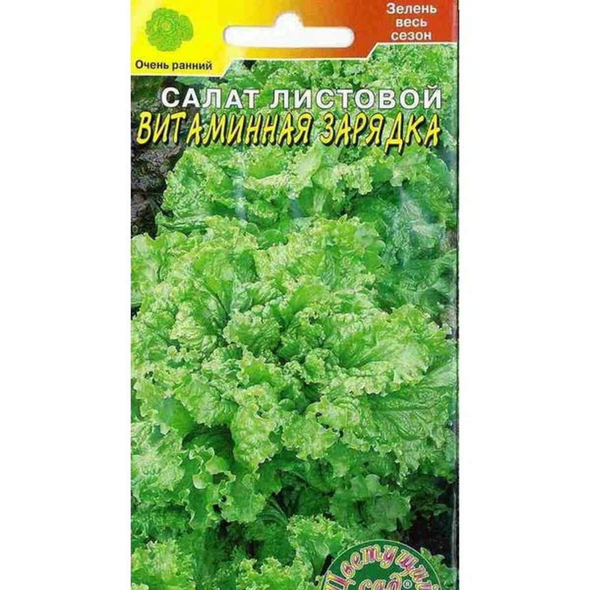 Семена Салат листовой - Витаминная зарядка, Цветущий Сад, 1 пачка - 0.5г семян